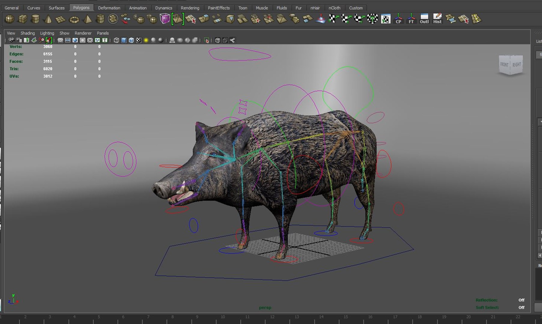 3D Wild Boar Rigged - TurboSquid 1241027