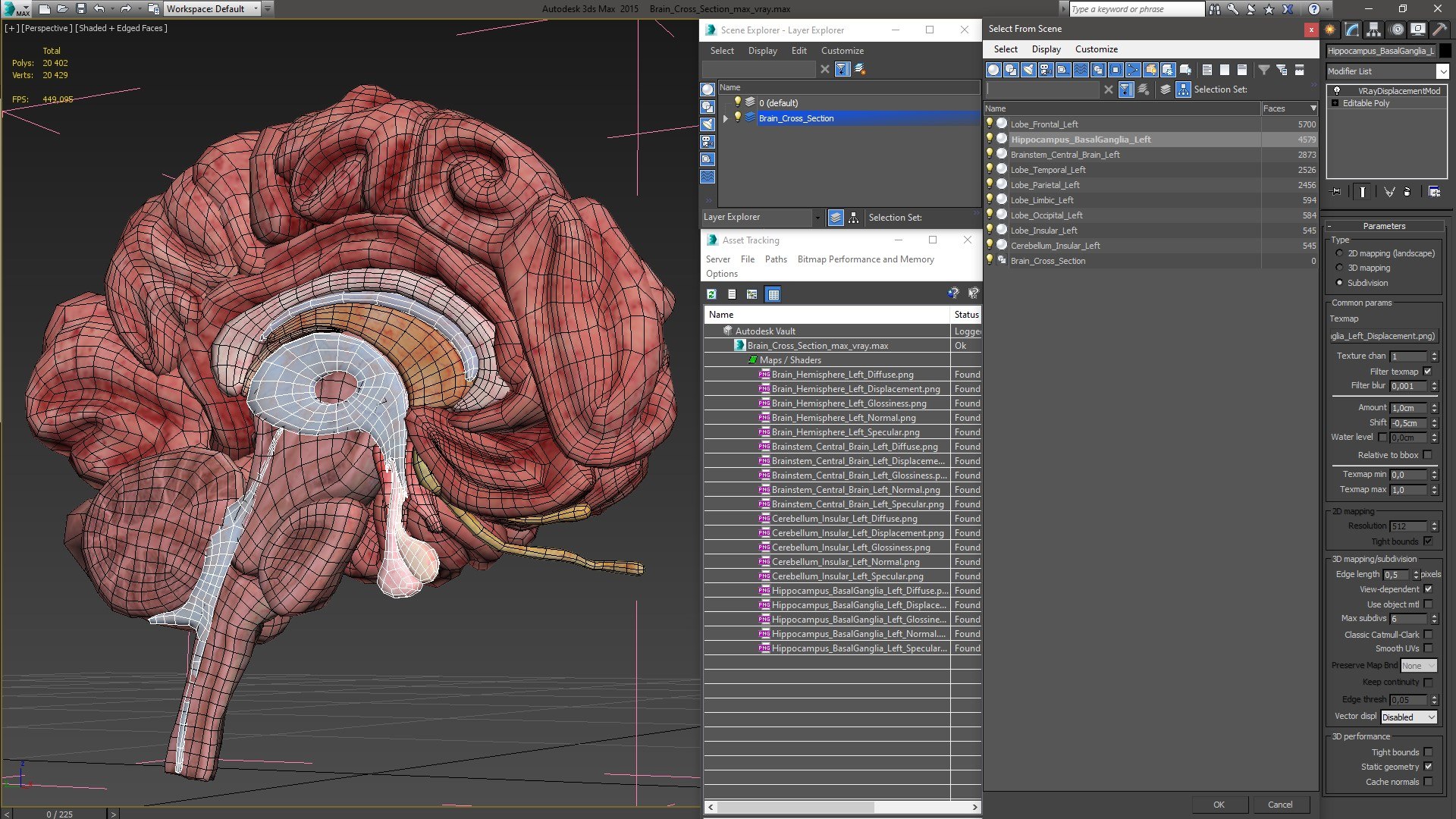 Brain Cross Section model - TurboSquid 1855699