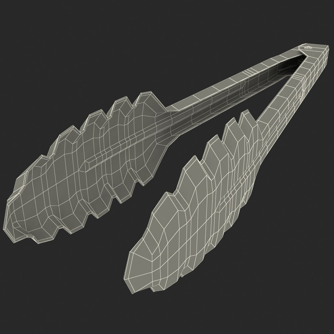 Stainless Steel Spring Tongs Max