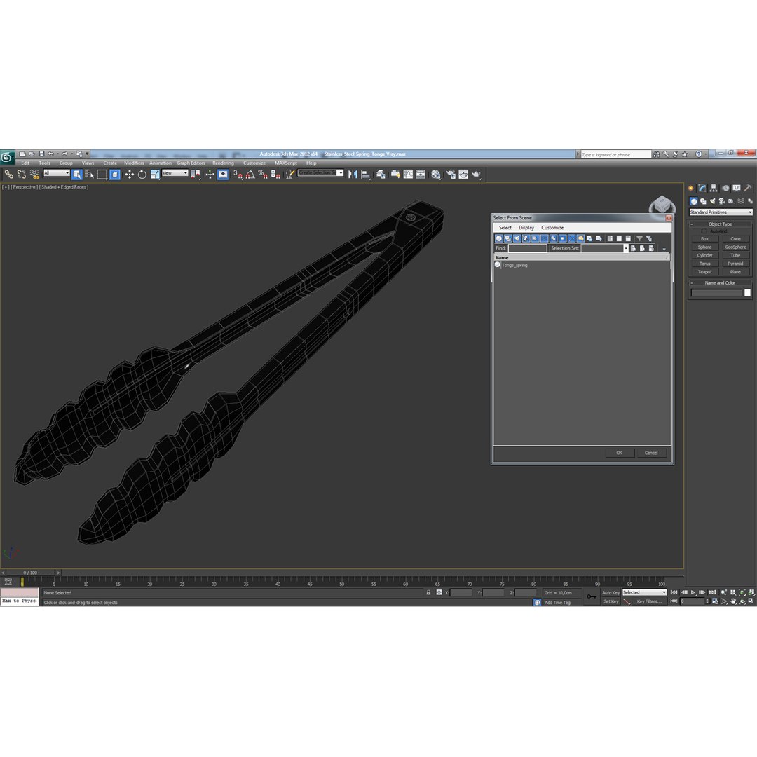 Stainless Steel Spring Tongs Max