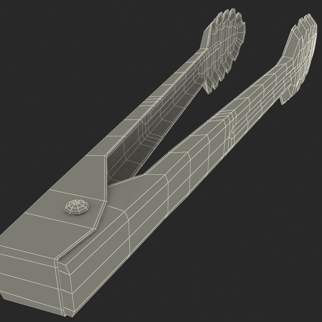 Stainless Steel Spring Tongs Max