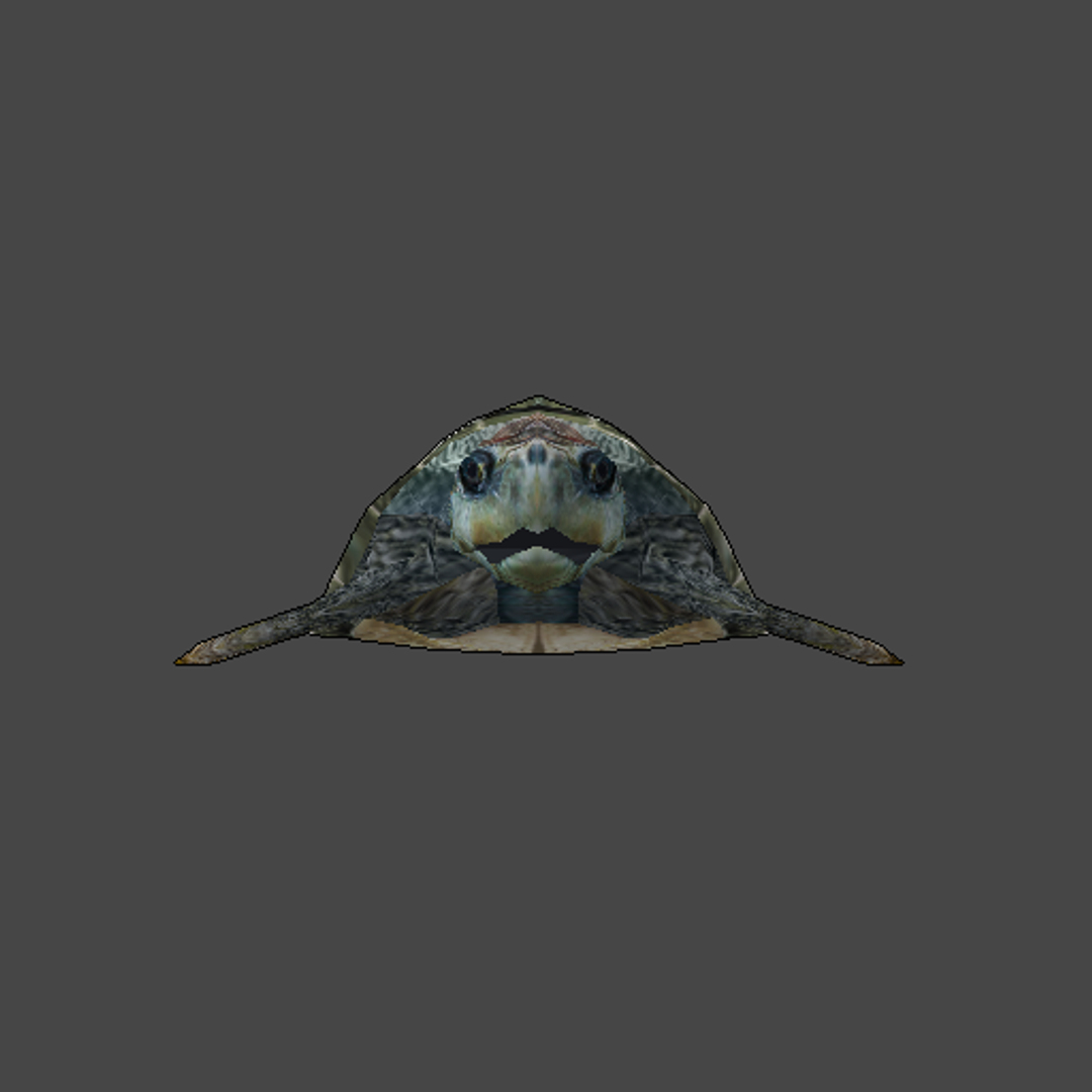 3d Sea Turtles Pack Model
