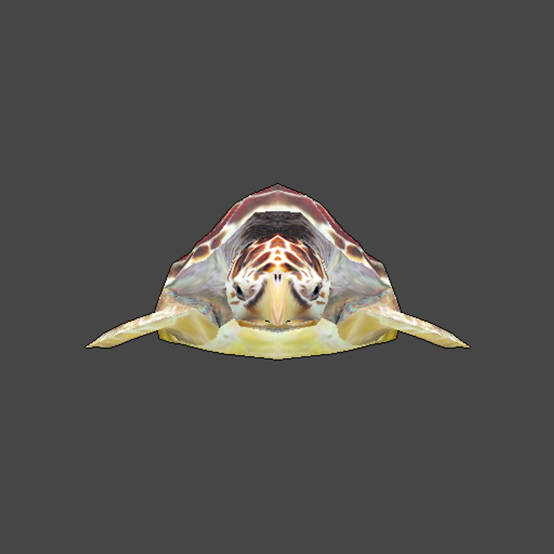 3d Sea Turtles Pack Model