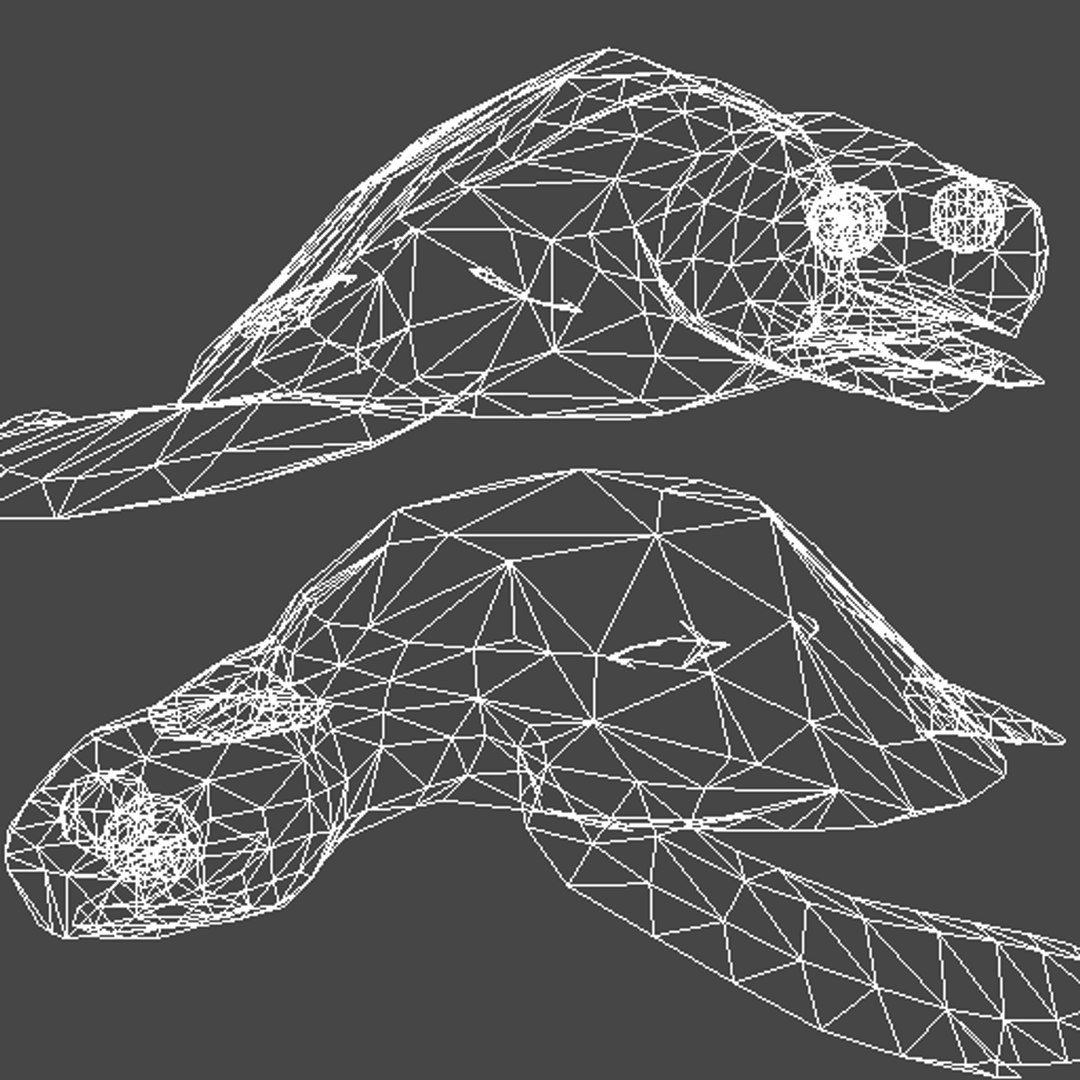 3d Sea Turtles Pack Model