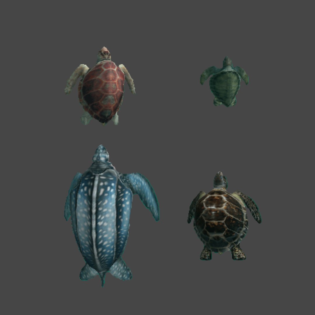 3d Sea Turtles Pack Model