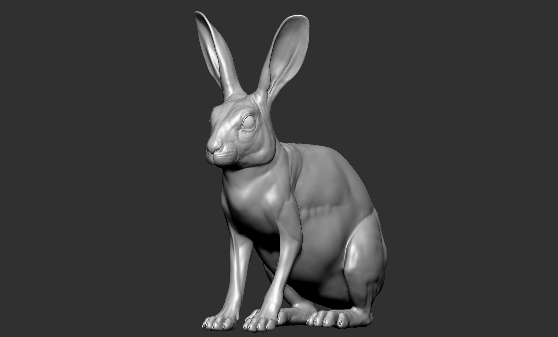 Hare zbrush model - TurboSquid 1657997