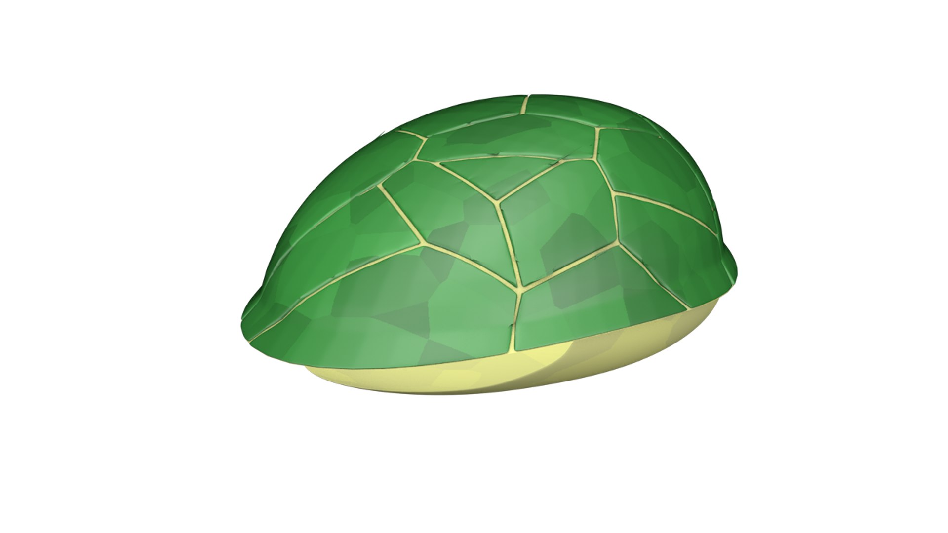 Turtle Shell 3D Model - TurboSquid 1438569