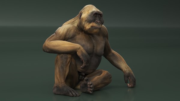 modelo 3d El gran simio Gigantopithecus en posición sentada - TurboSquid 2311888