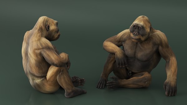 modelo 3d El gran simio Gigantopithecus en posición sentada - TurboSquid 2311888
