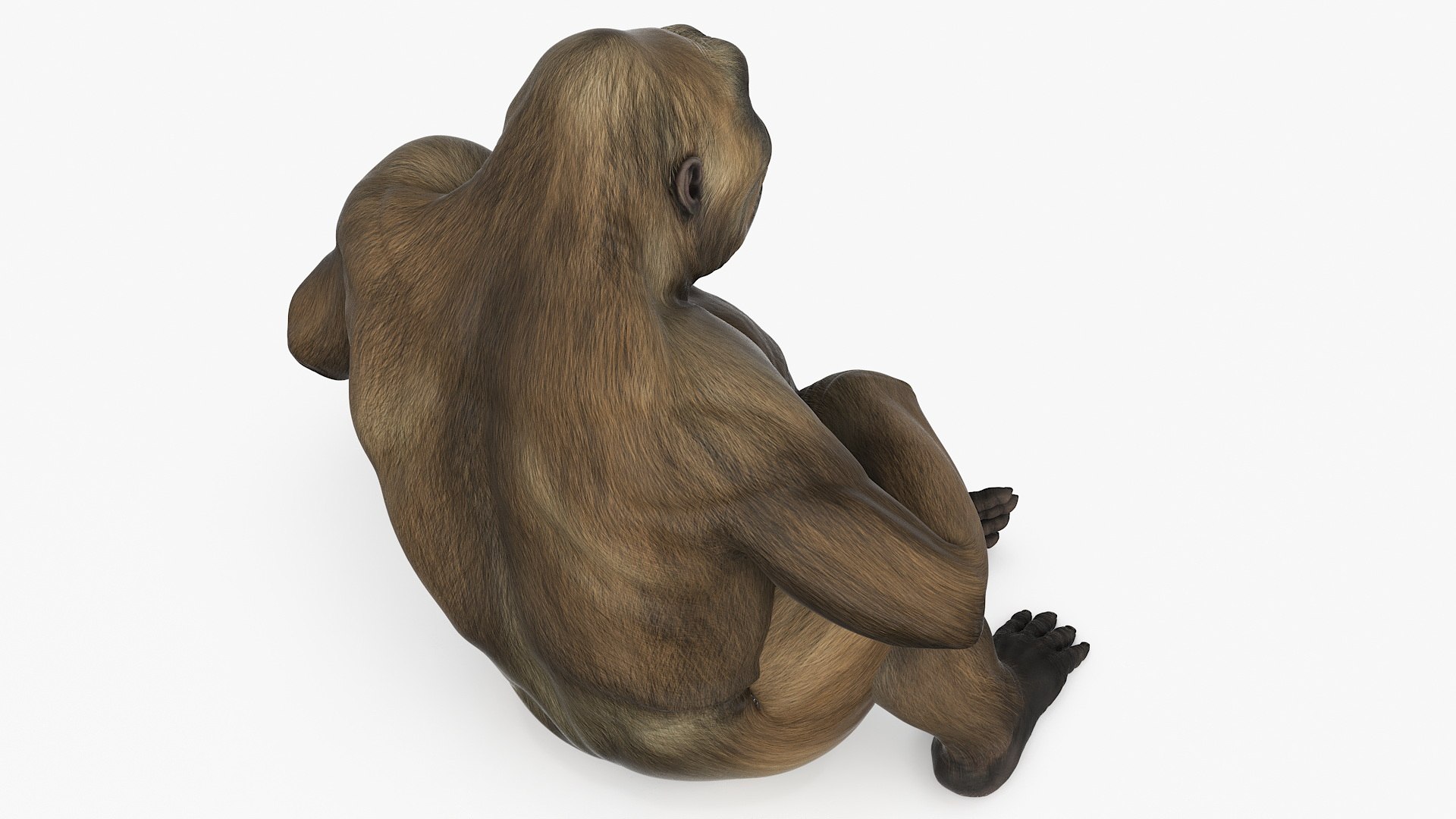 Big Ape Gigantopithecus In Sitting Pose 3D - TurboSquid 2311888