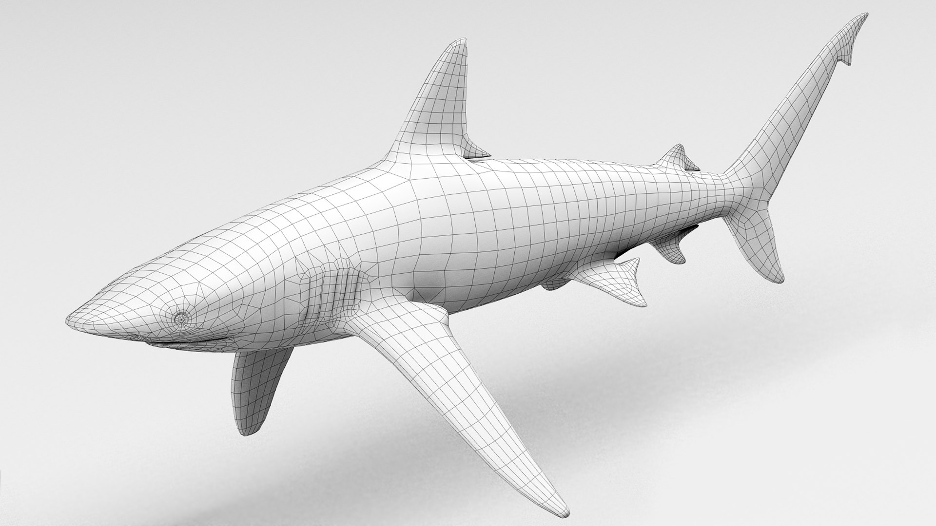 3D Blue Shark - TurboSquid 1829575