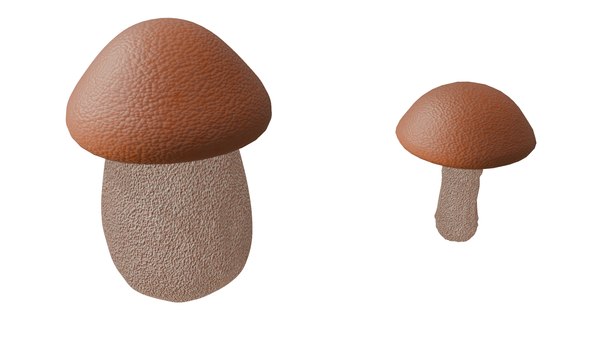 Button Mushroom 3D Models for Download | TurboSquid