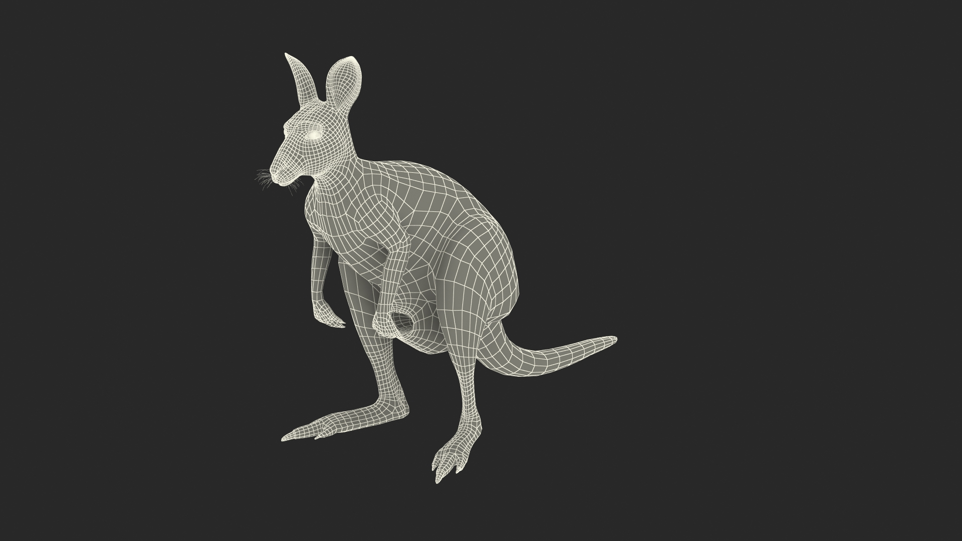 3D Female Kangaroo Rigged For Maya - TurboSquid 2270755