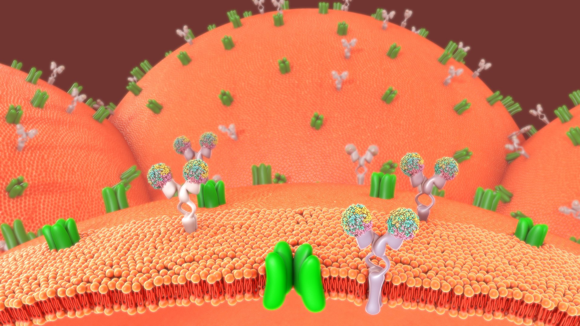 3D Cell Membrane - TurboSquid 1871321