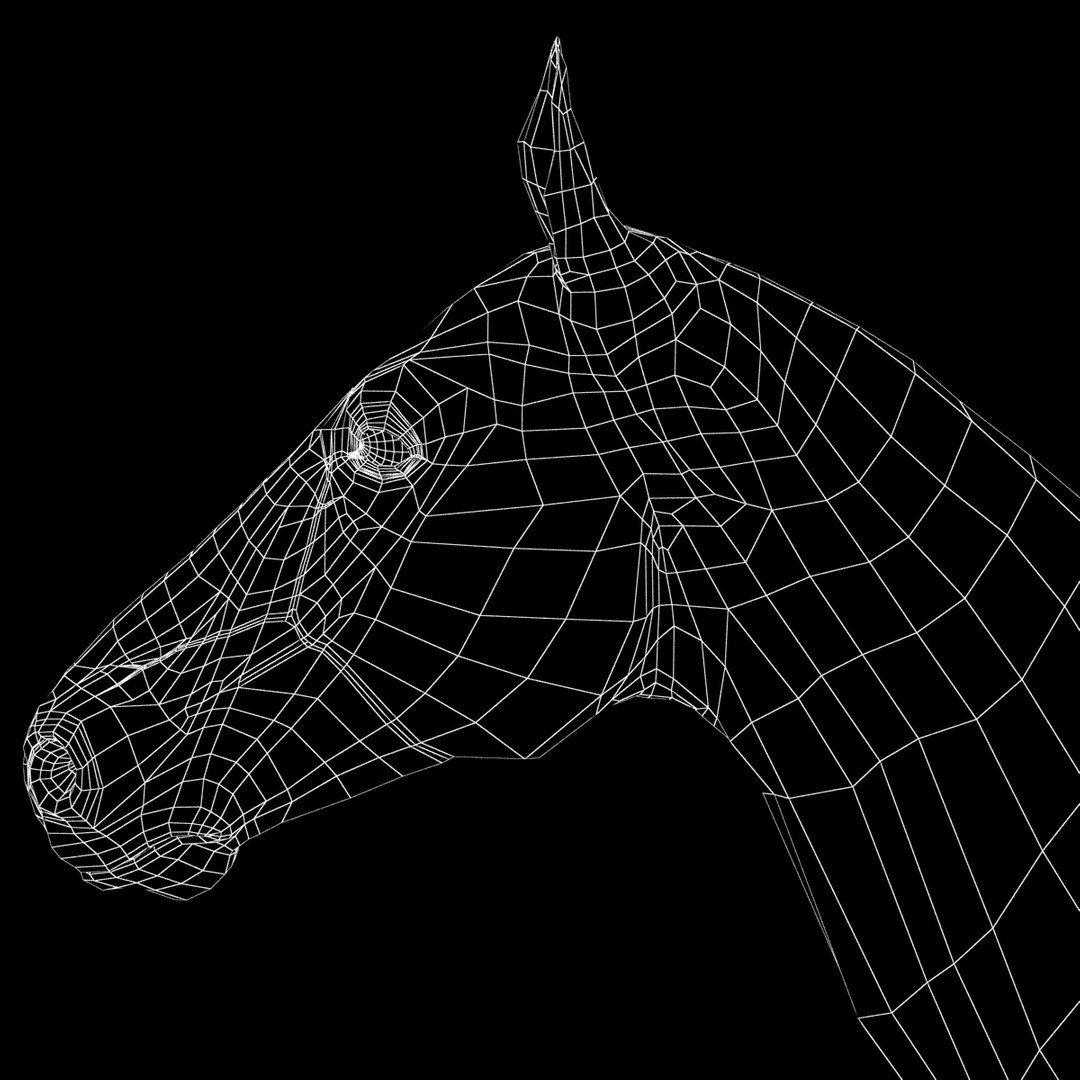 3d Thoroughbred Horse Rig