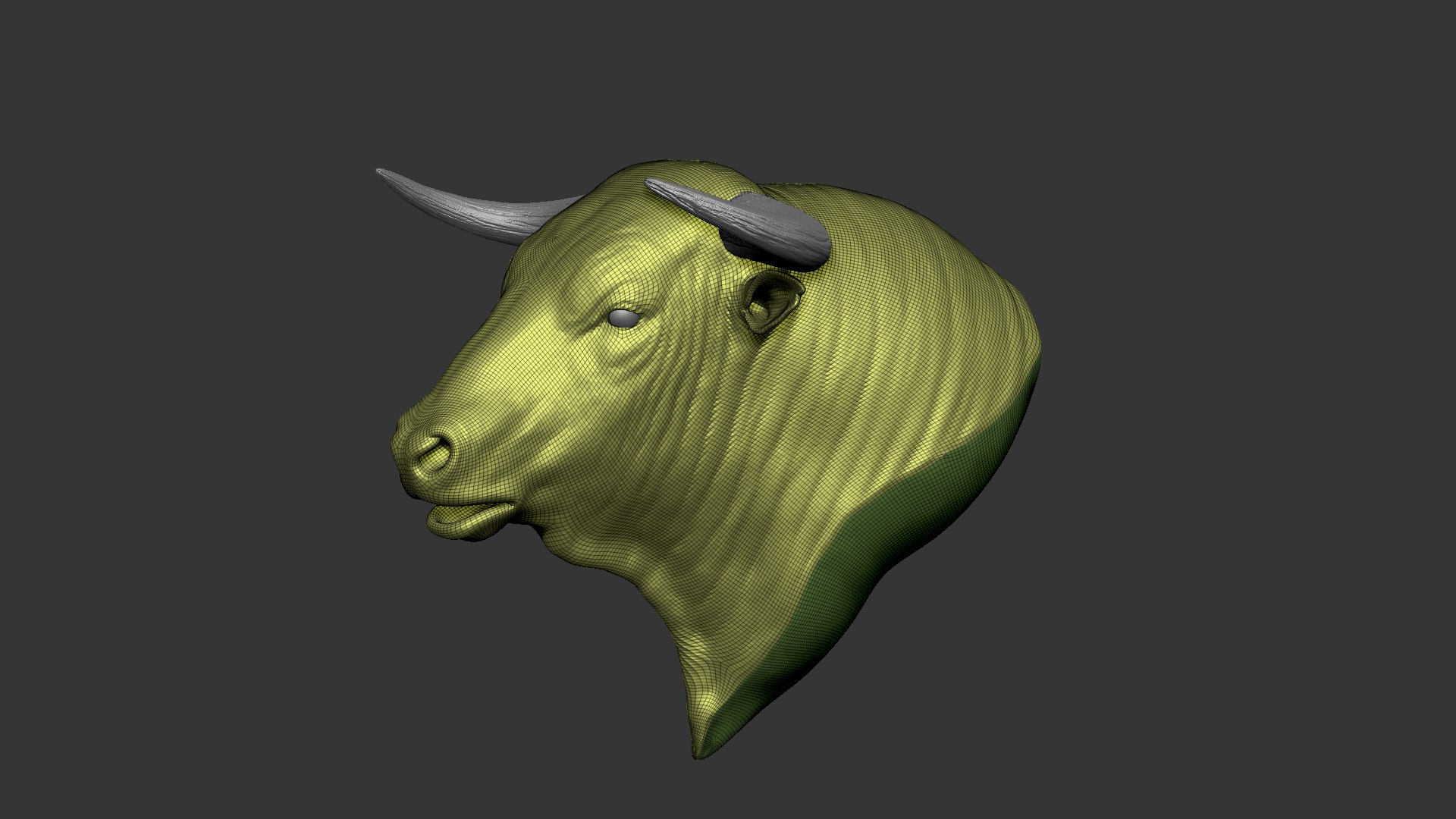 3D Bull Head Highpoly Sculpt - TurboSquid 1809067