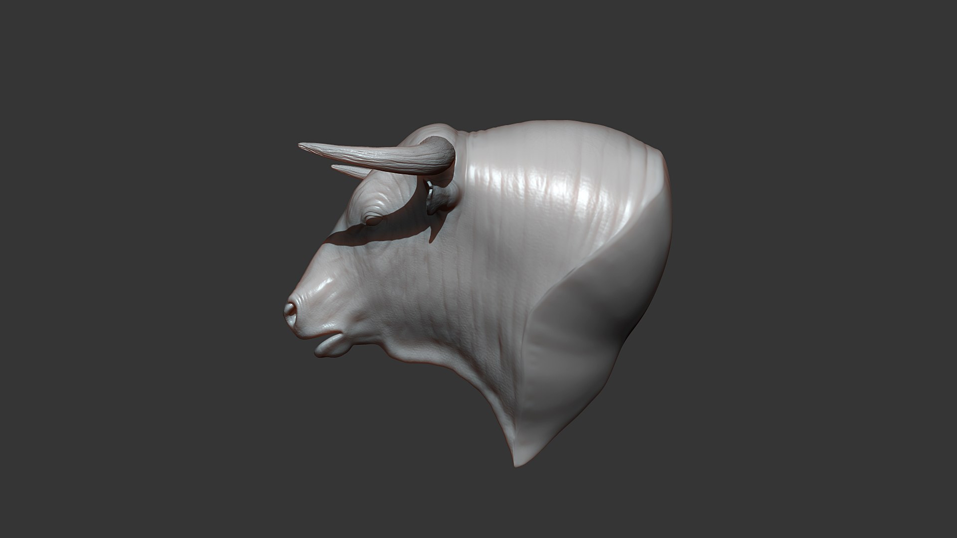 3D Bull Head Highpoly Sculpt - TurboSquid 1809067