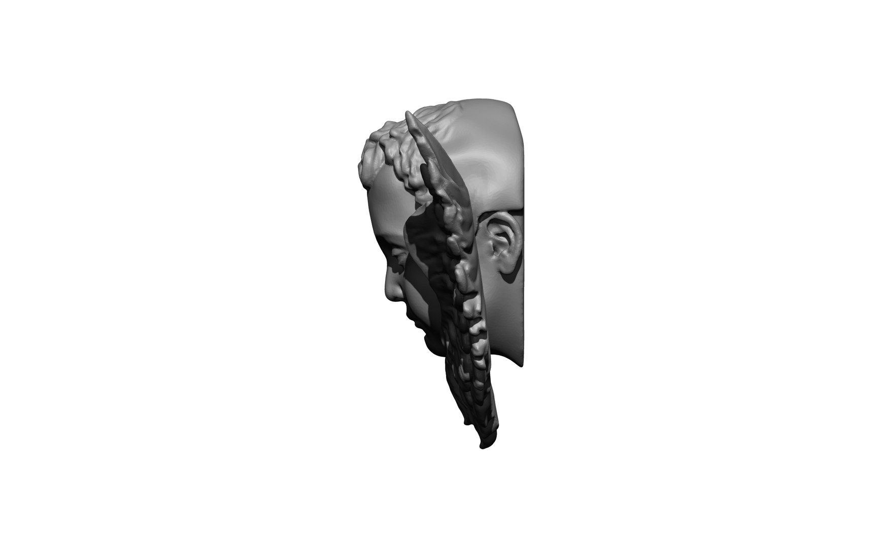 Angel Wings Head 3D Model - TurboSquid 2225377