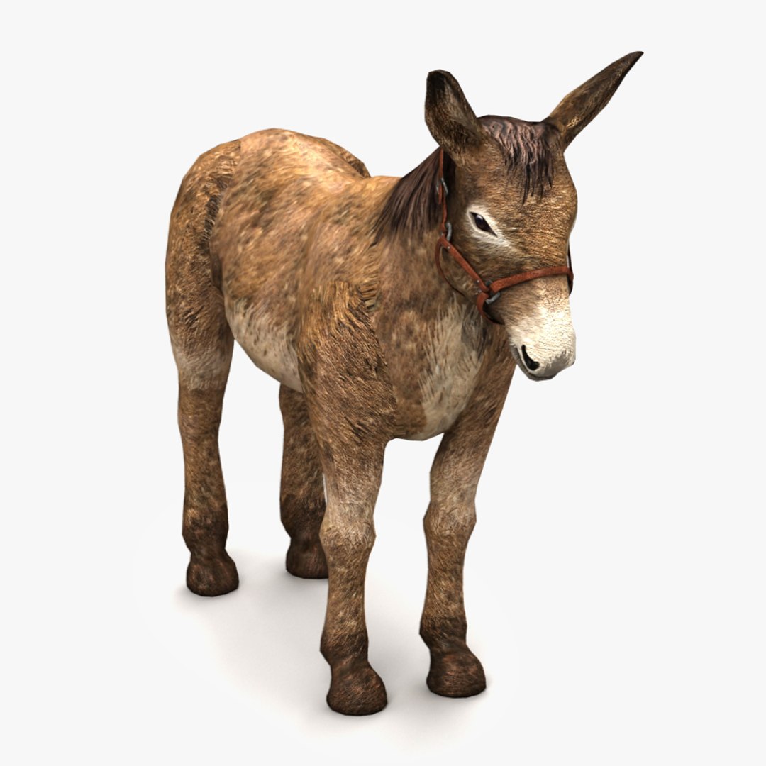 donkey 3d 3ds