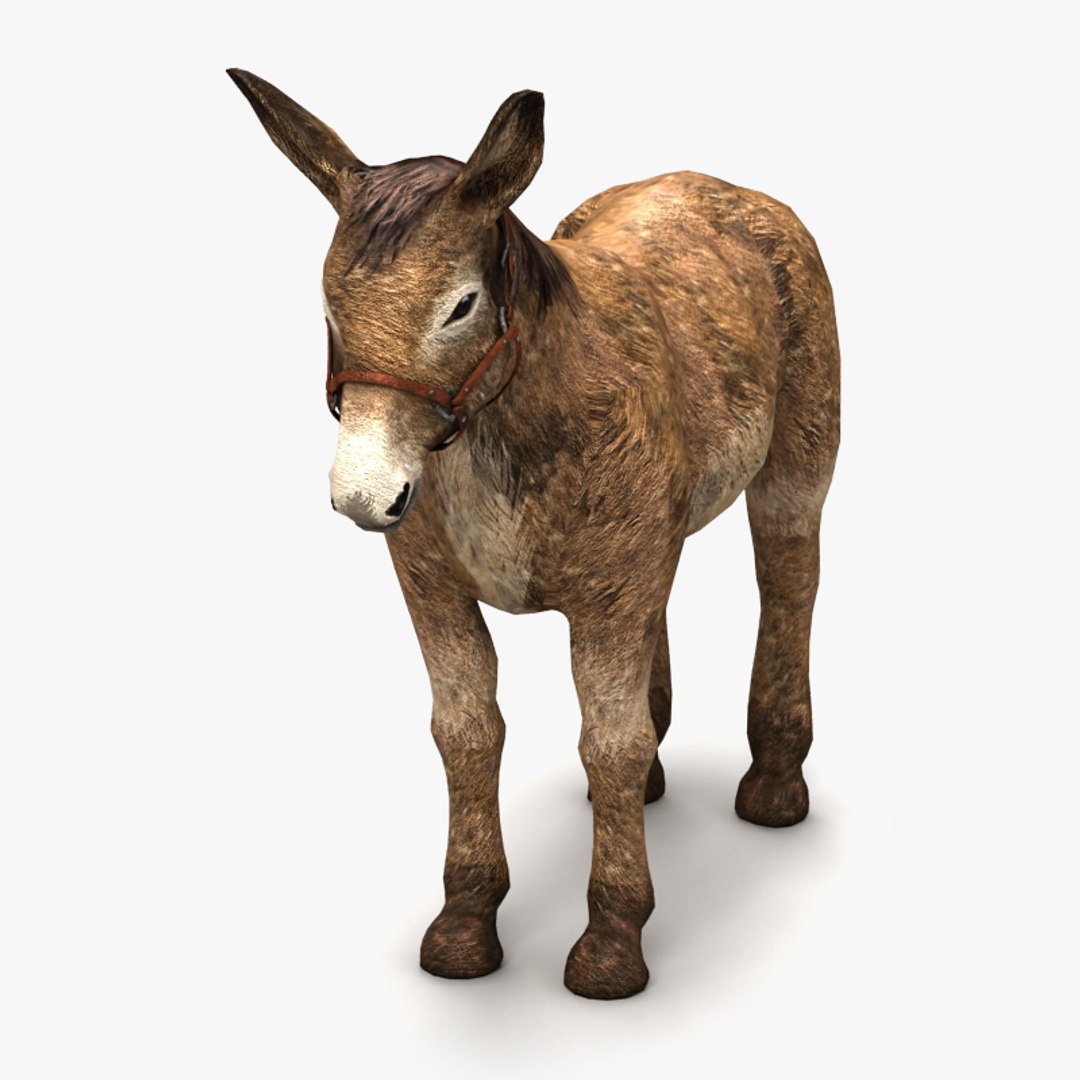 donkey 3d 3ds