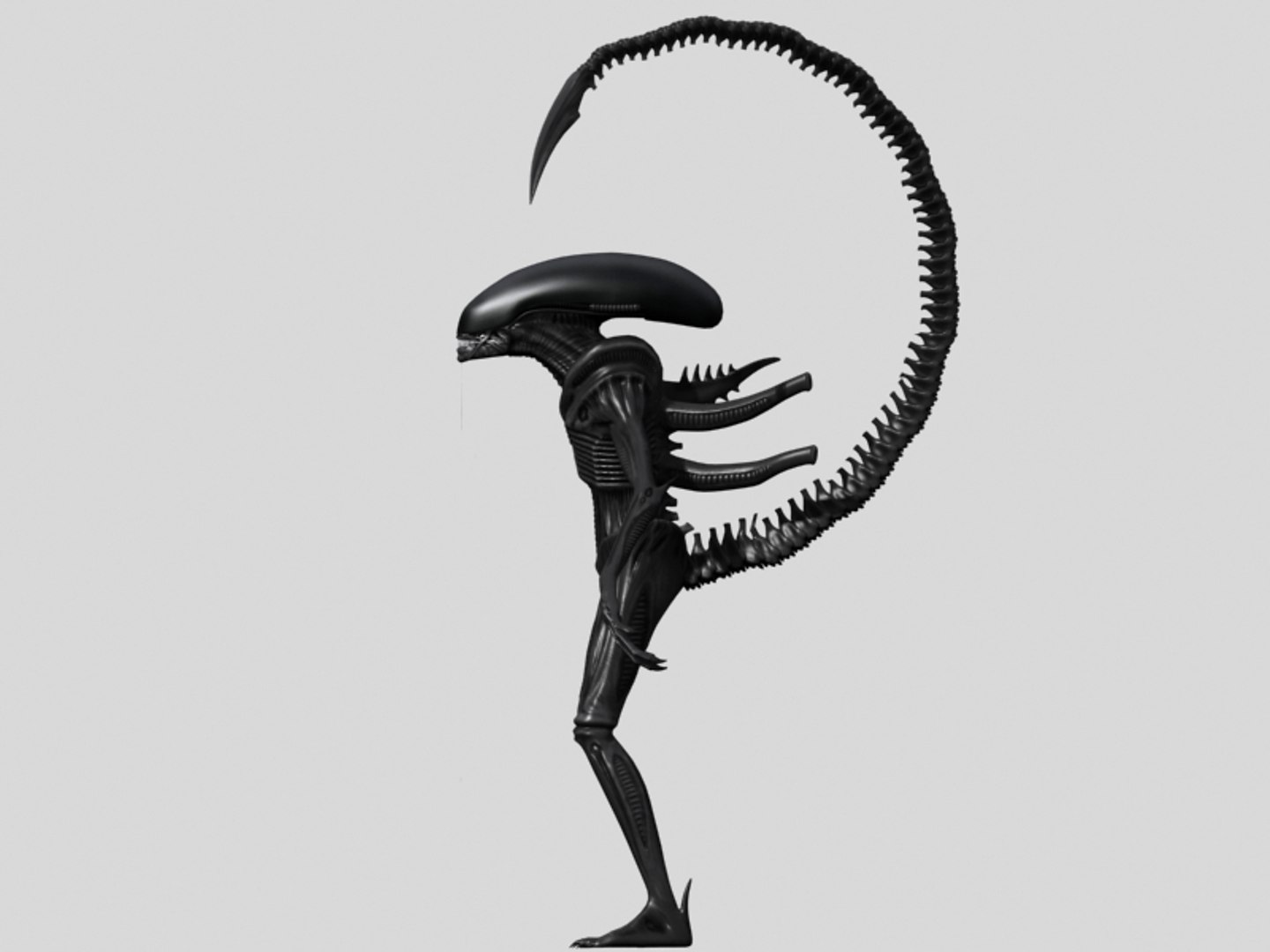 3d Rigged Xenomorph Drone Aliens Model