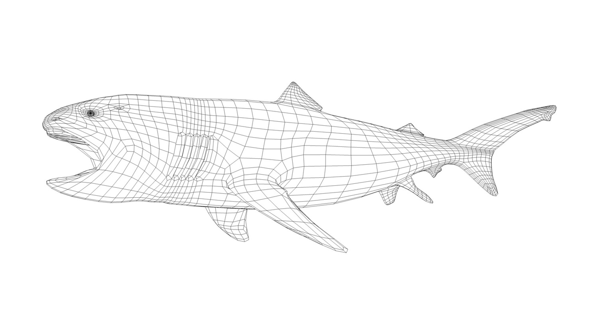 Realistic Female Megamouth Shark 3D Model - TurboSquid 1189738