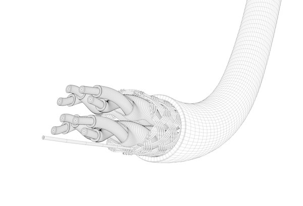 3D Ethernet Cable CAT7A - TurboSquid 1877423