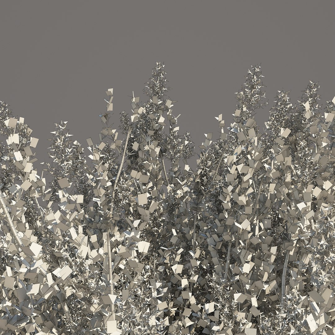 Trunk 5 Tree Flowers Max