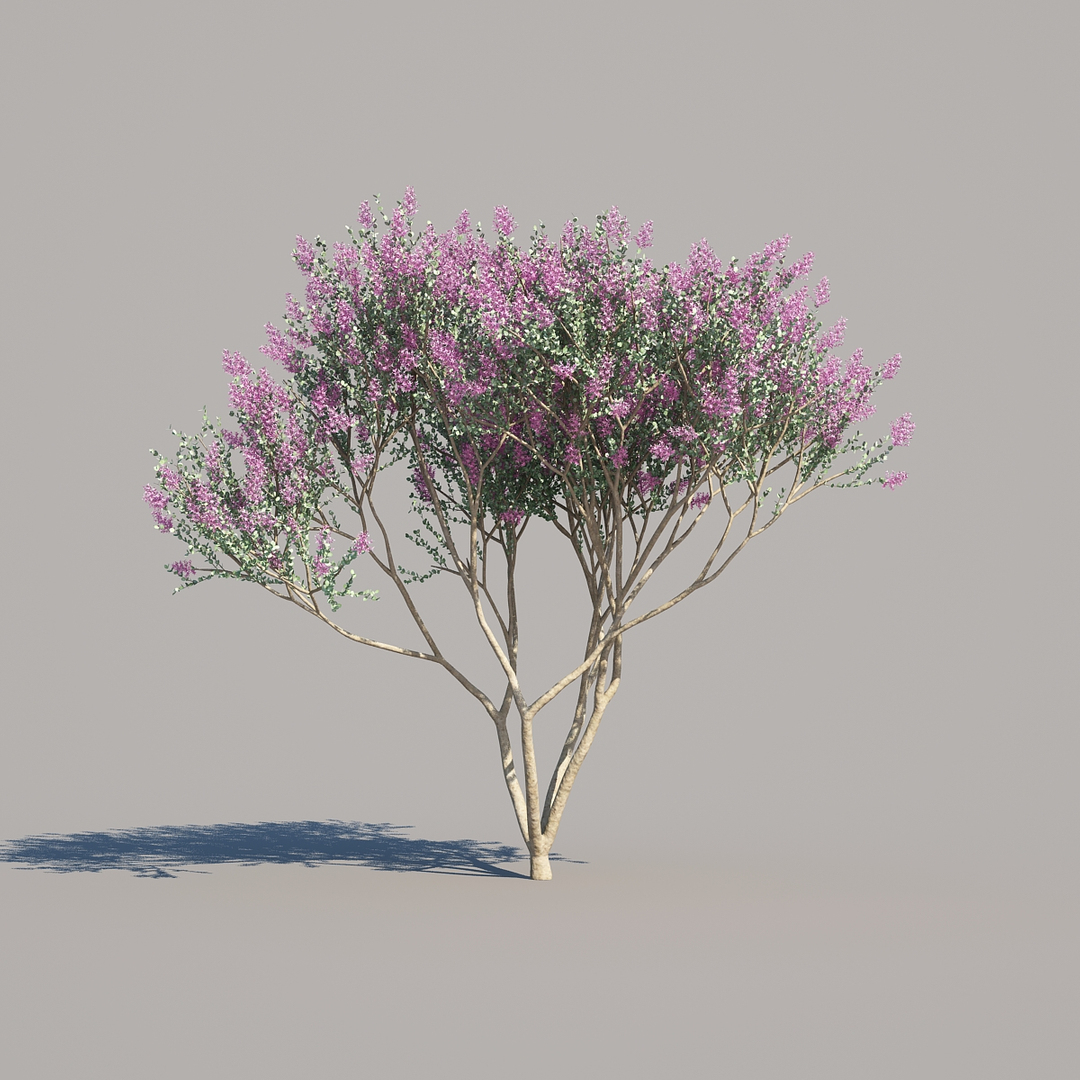 Trunk 5 Tree Flowers Max