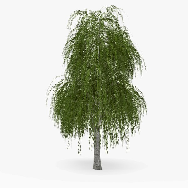 Low Poly Willow Tree 3D Models for Download | TurboSquid