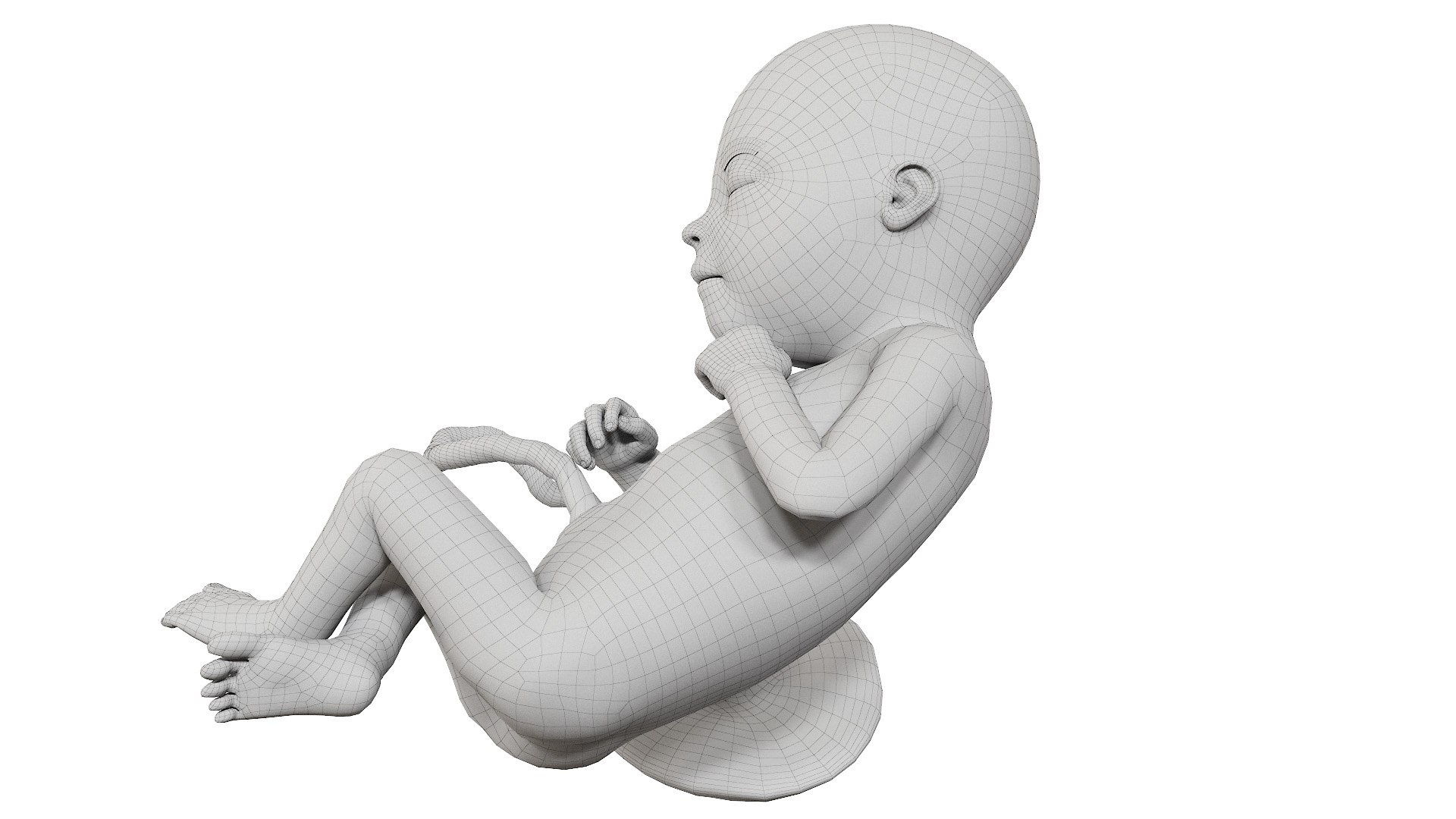 3D Fetus Anatomy Week 22 Animated - TurboSquid 1808733