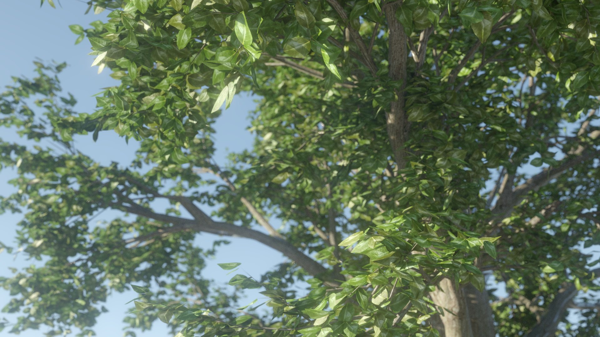 3D tree animation model - TurboSquid 1500129