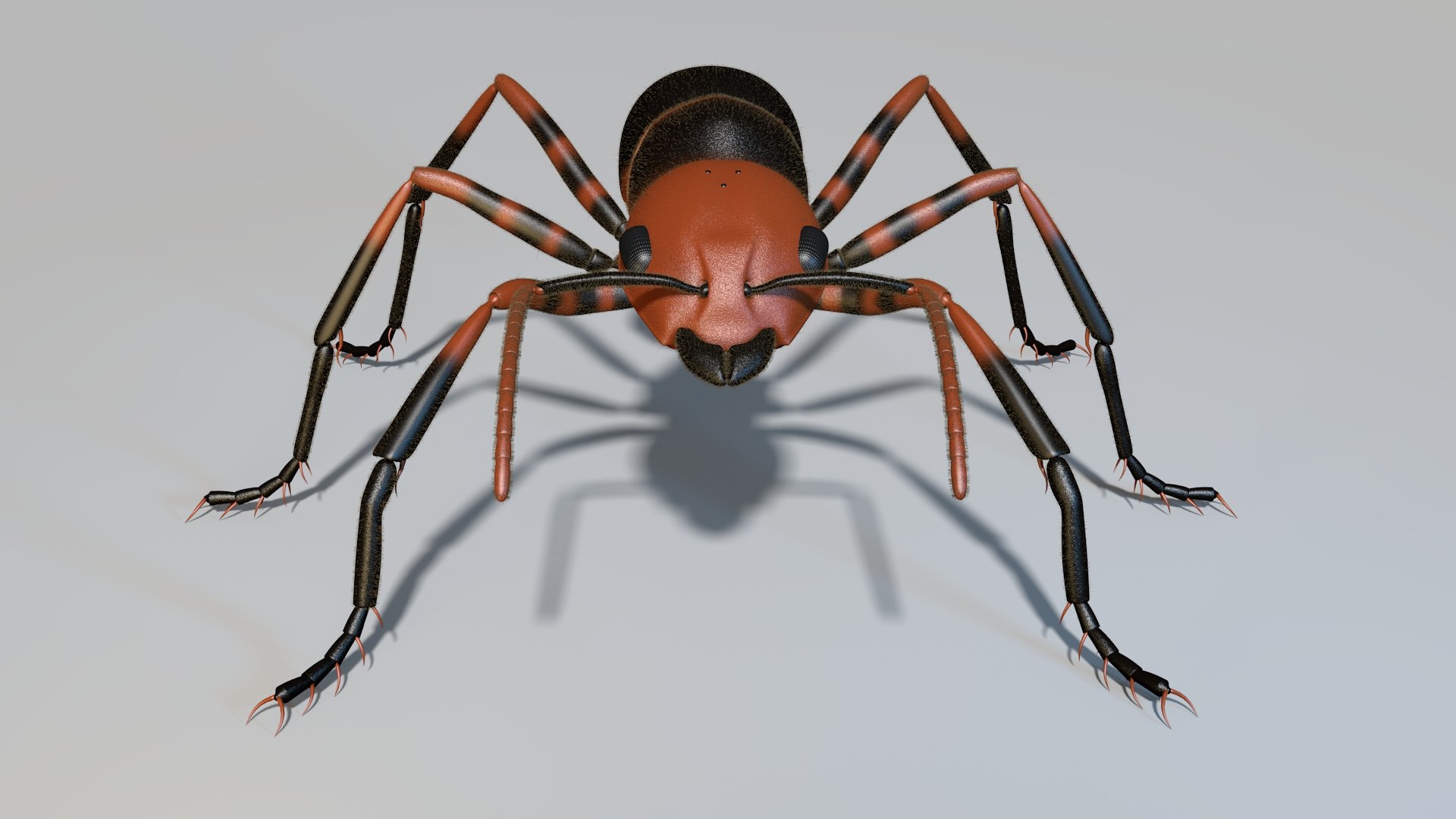Fire Ant 3D - TurboSquid 1808835