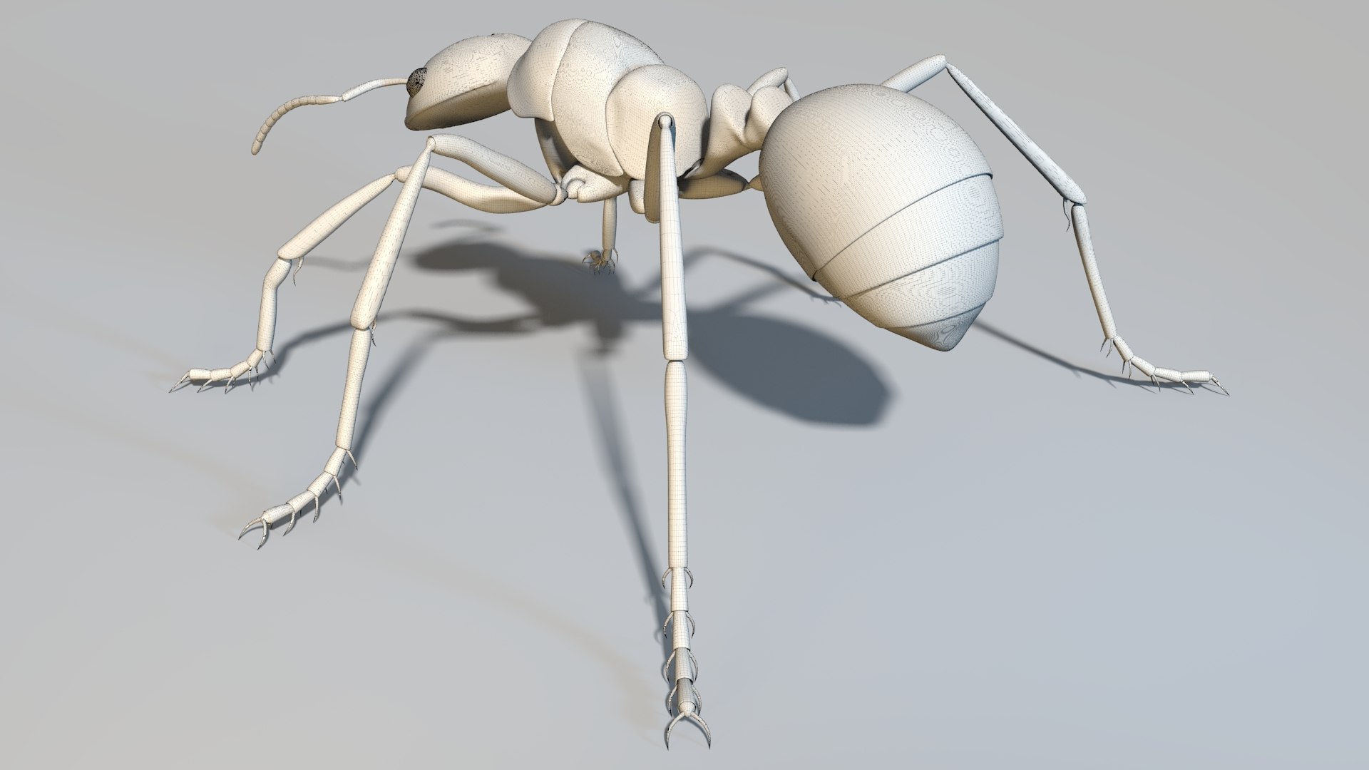 Fire Ant 3D - TurboSquid 1808835
