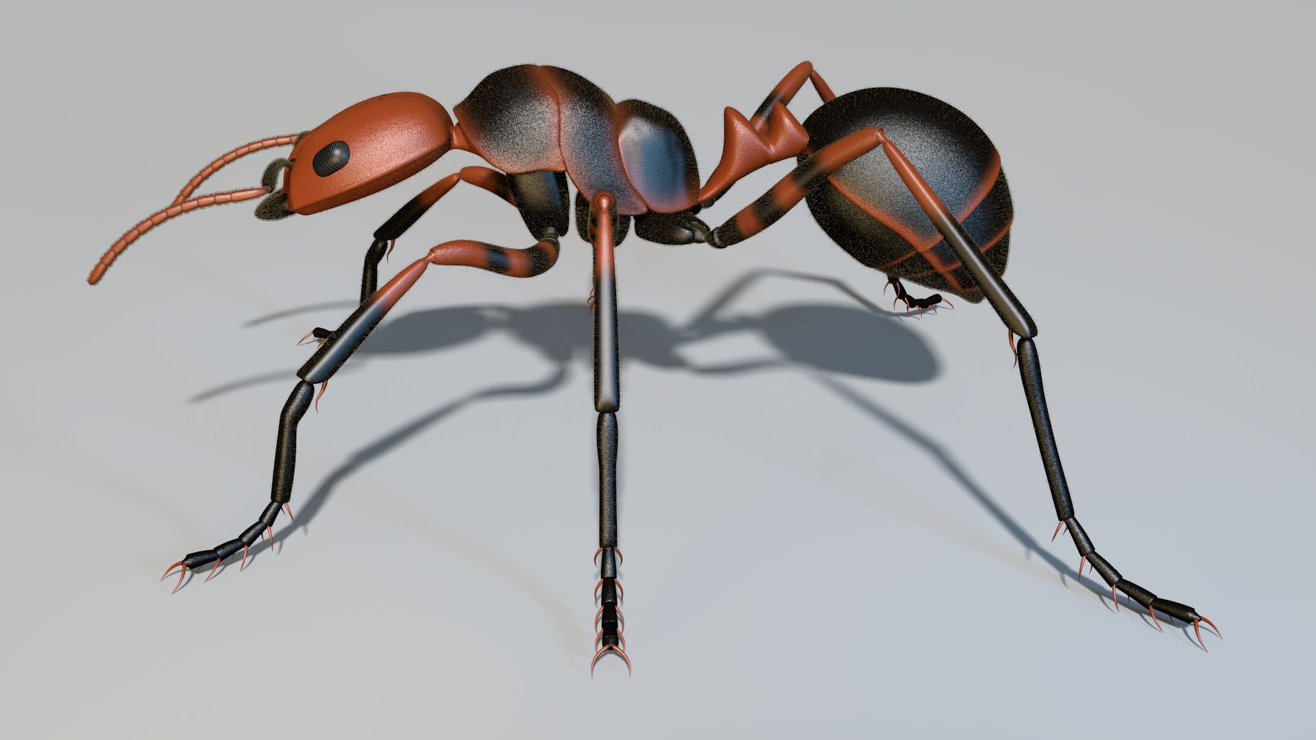 Fire Ant 3D - TurboSquid 1808835