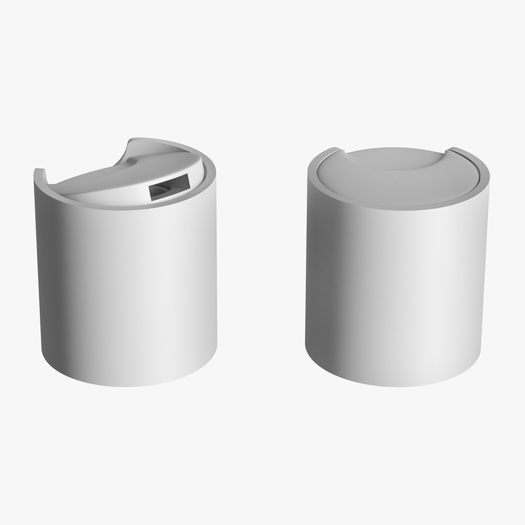 Disc Top Cap 3D model - TurboSquid 1909877