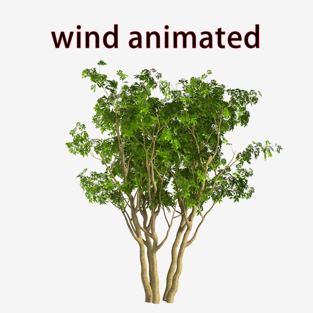 3D Wind Tree Model - TurboSquid 1667101