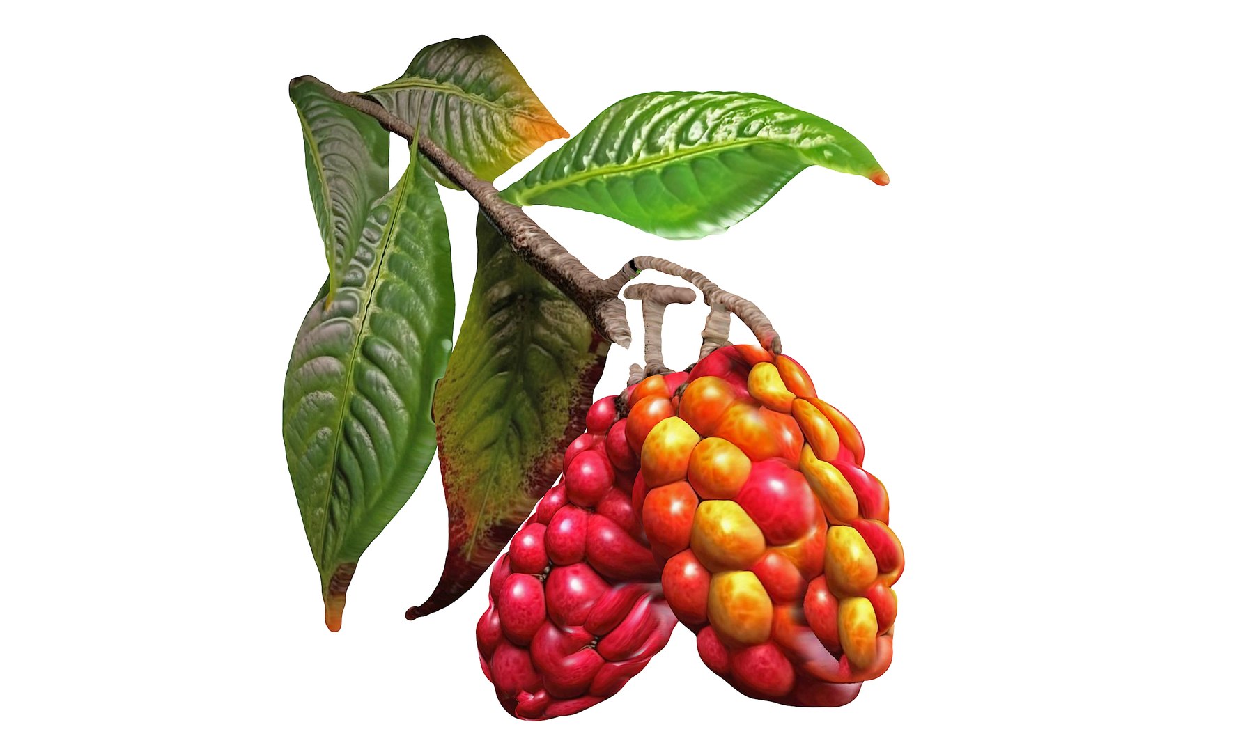 Magical Fruits 3D - TurboSquid 2102964