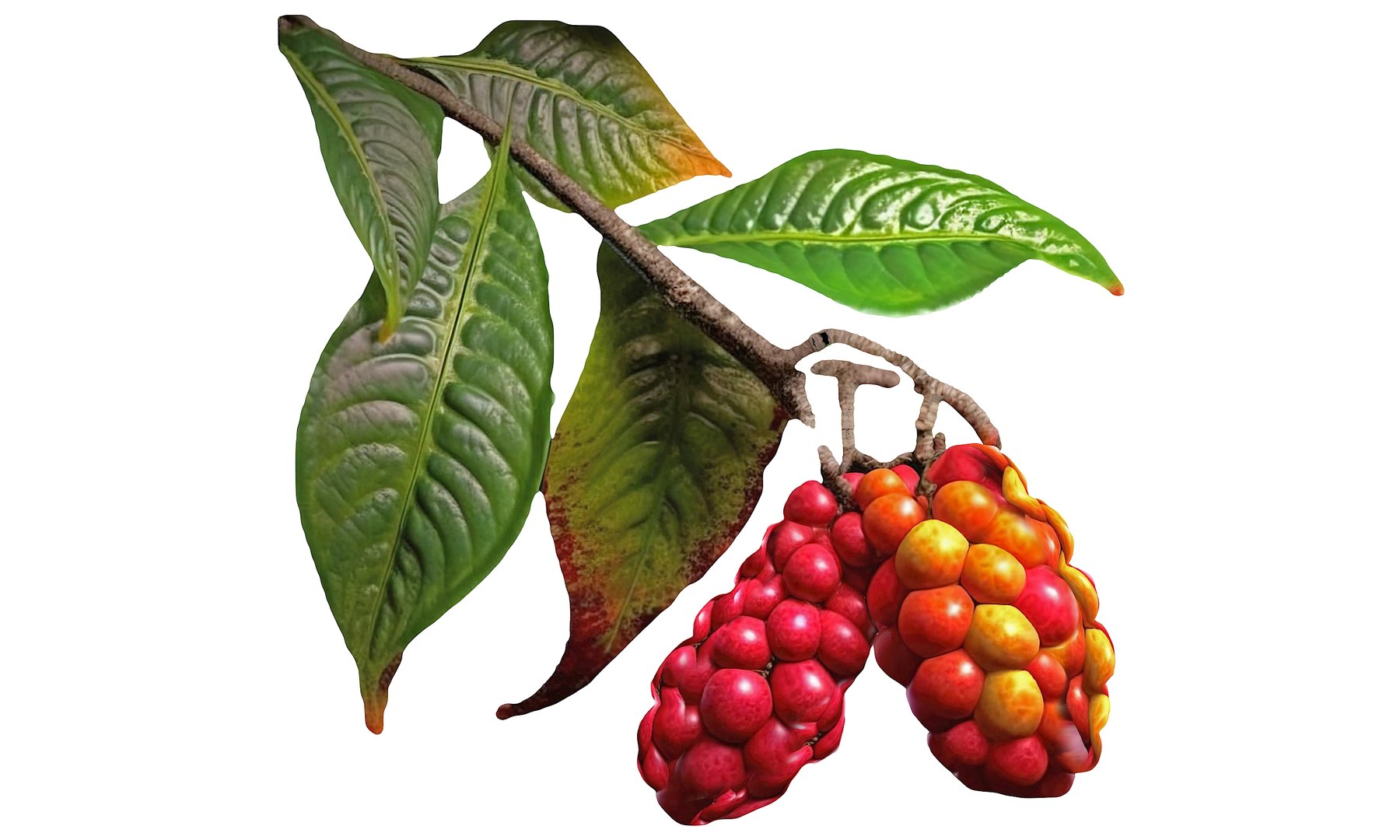 Magical Fruits 3D - TurboSquid 2102964