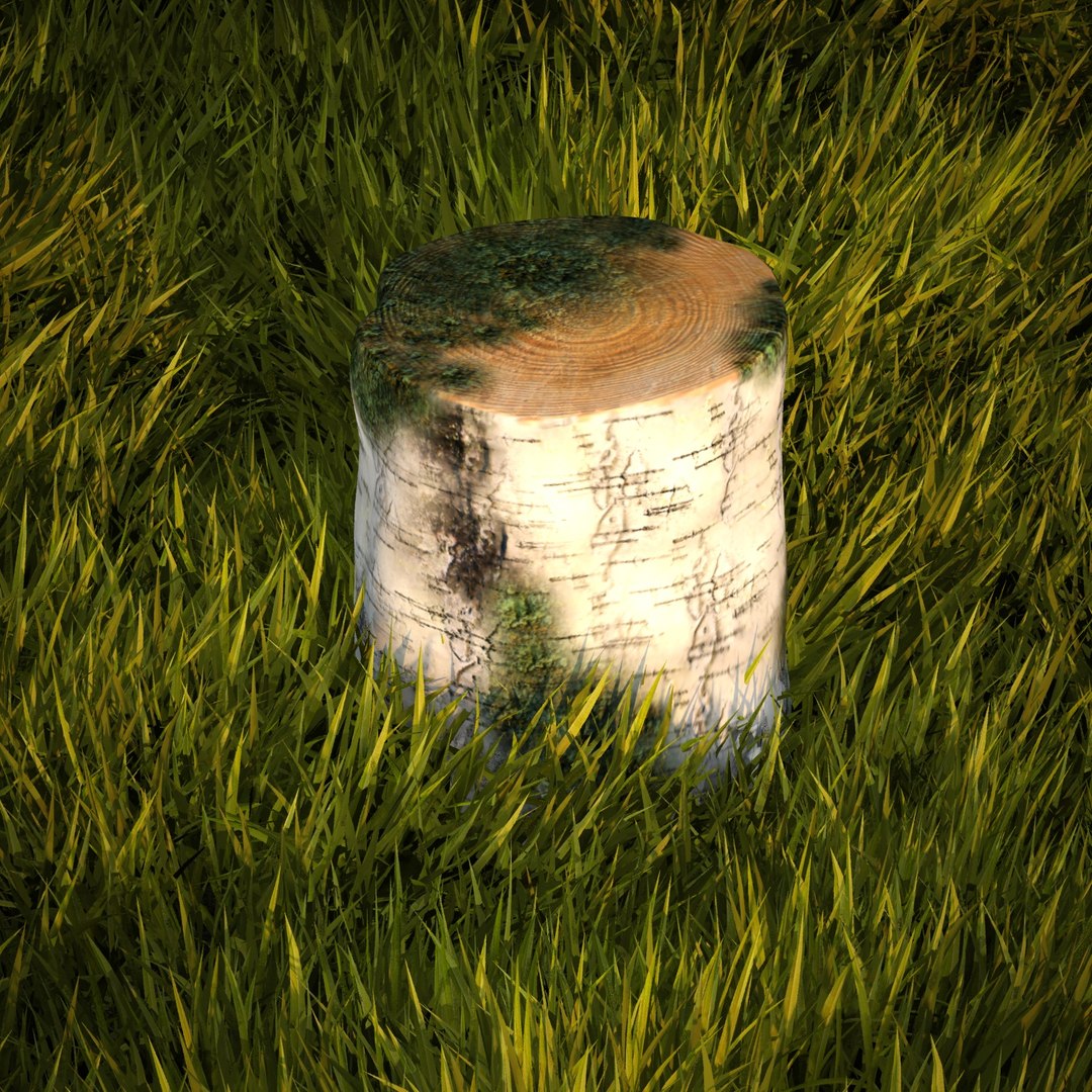 Birch Stump Max Free