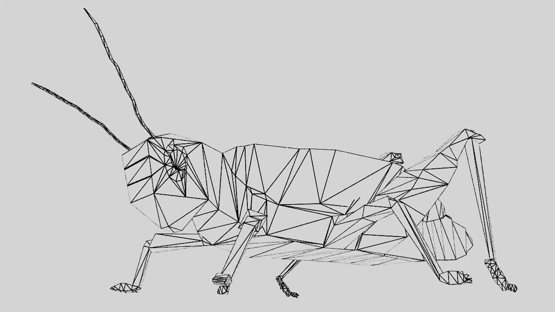 Low Poly Grasshopper RIGGED 3D - TurboSquid 2338567