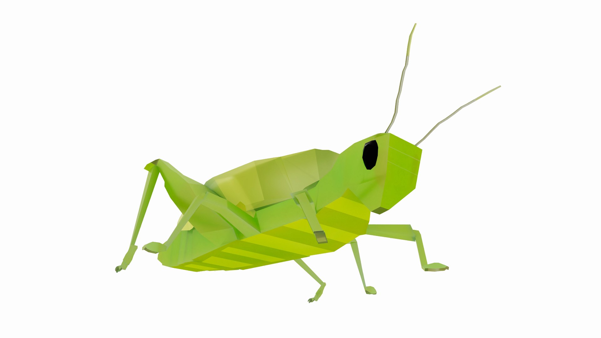 Low Poly Grasshopper RIGGED 3D - TurboSquid 2338567