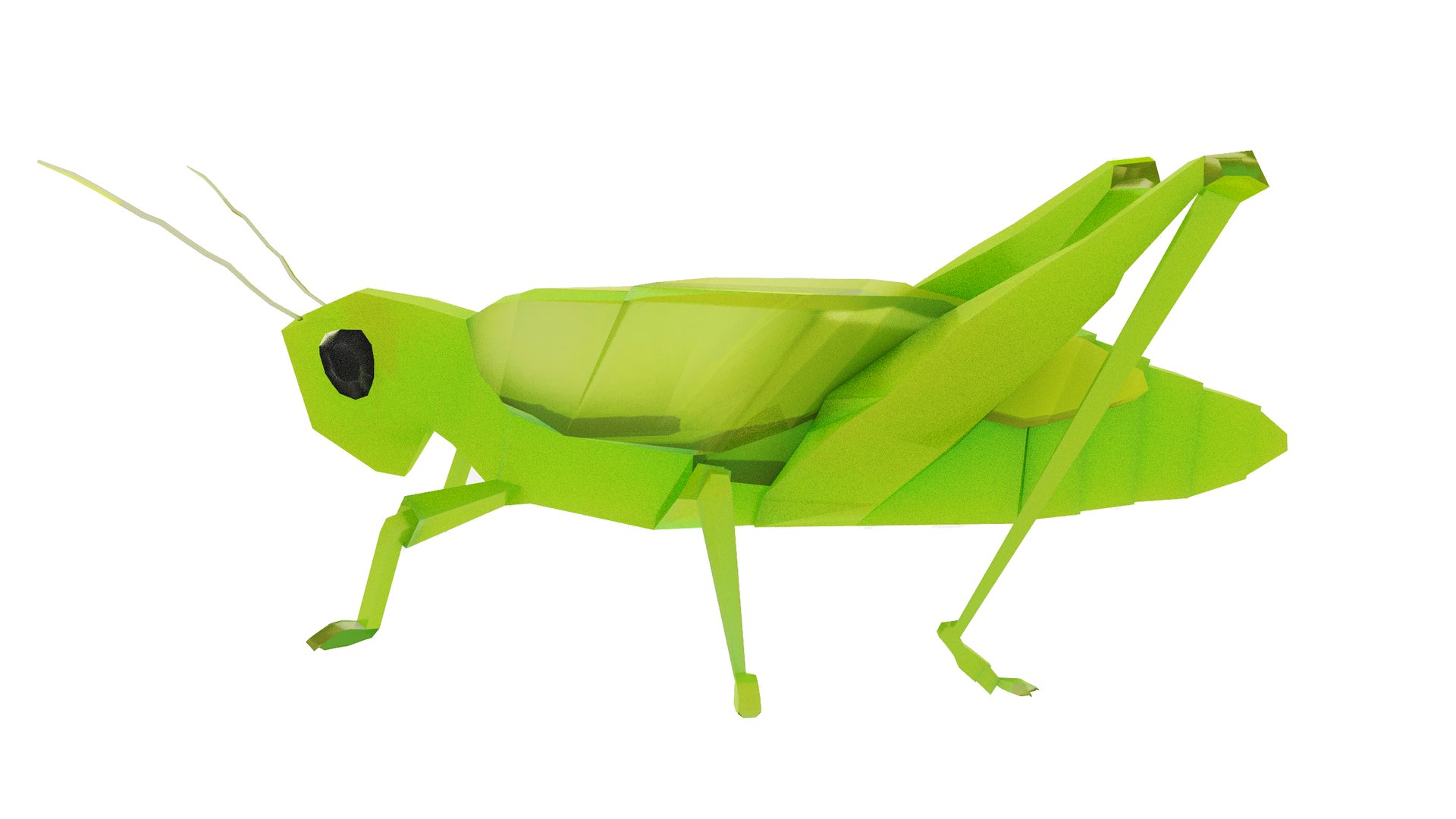 Low Poly Grasshopper RIGGED 3D - TurboSquid 2338567