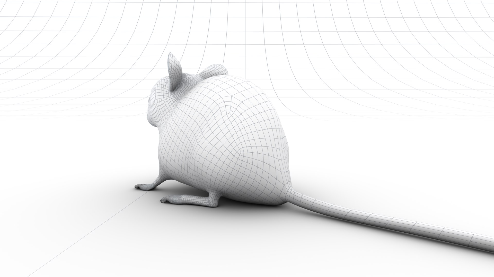 Realistic white mouse - 3D model - TurboSquid 1307286