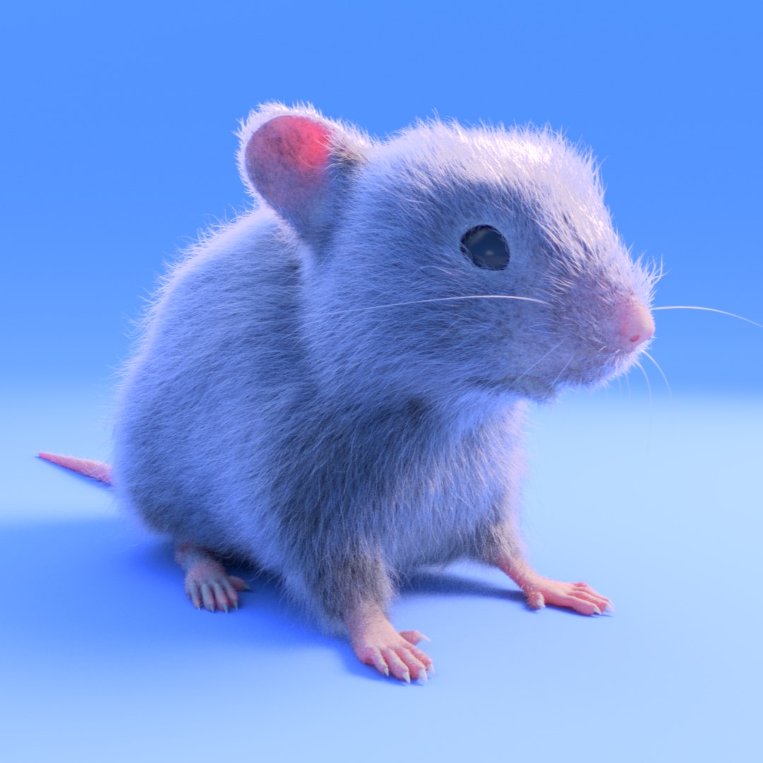 Realistic white mouse - 3D model - TurboSquid 1307286
