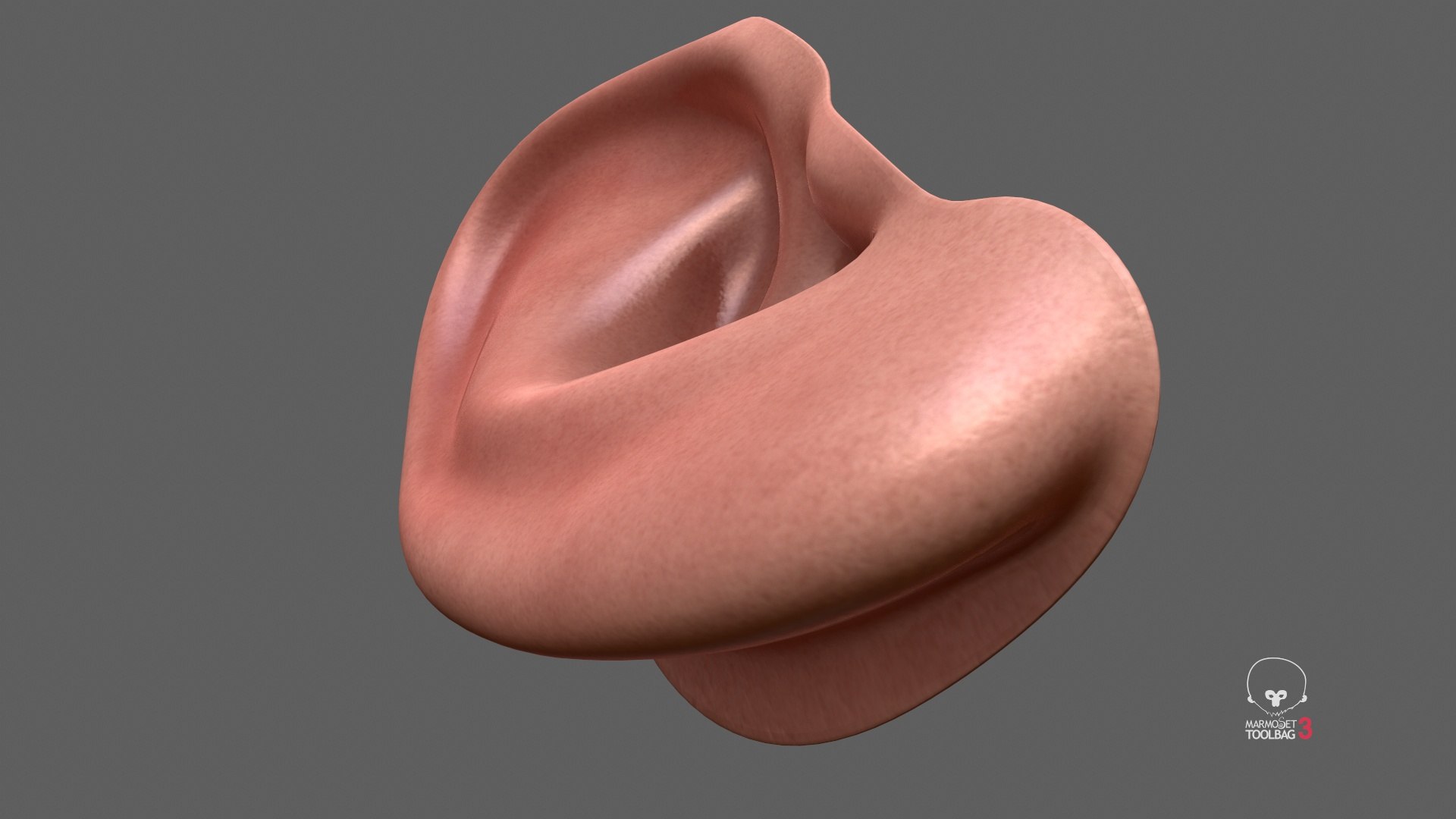 3D Human Right Ear Realistic V01 - TurboSquid 2382625