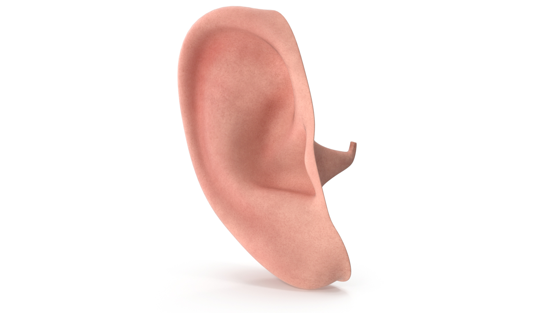 3D Human Right Ear Realistic V01 - TurboSquid 2382625