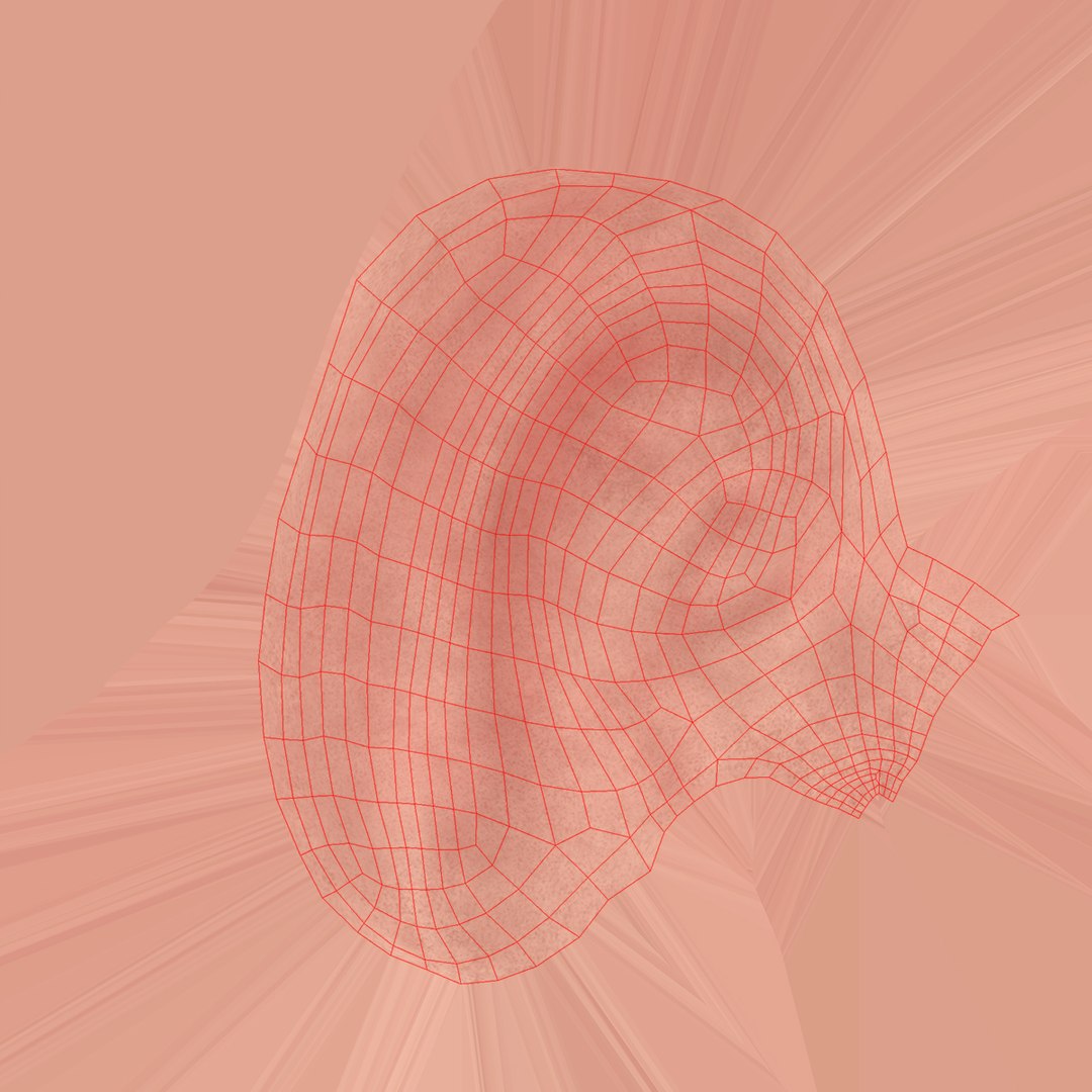 3D Human Right Ear Realistic V01 - TurboSquid 2382625