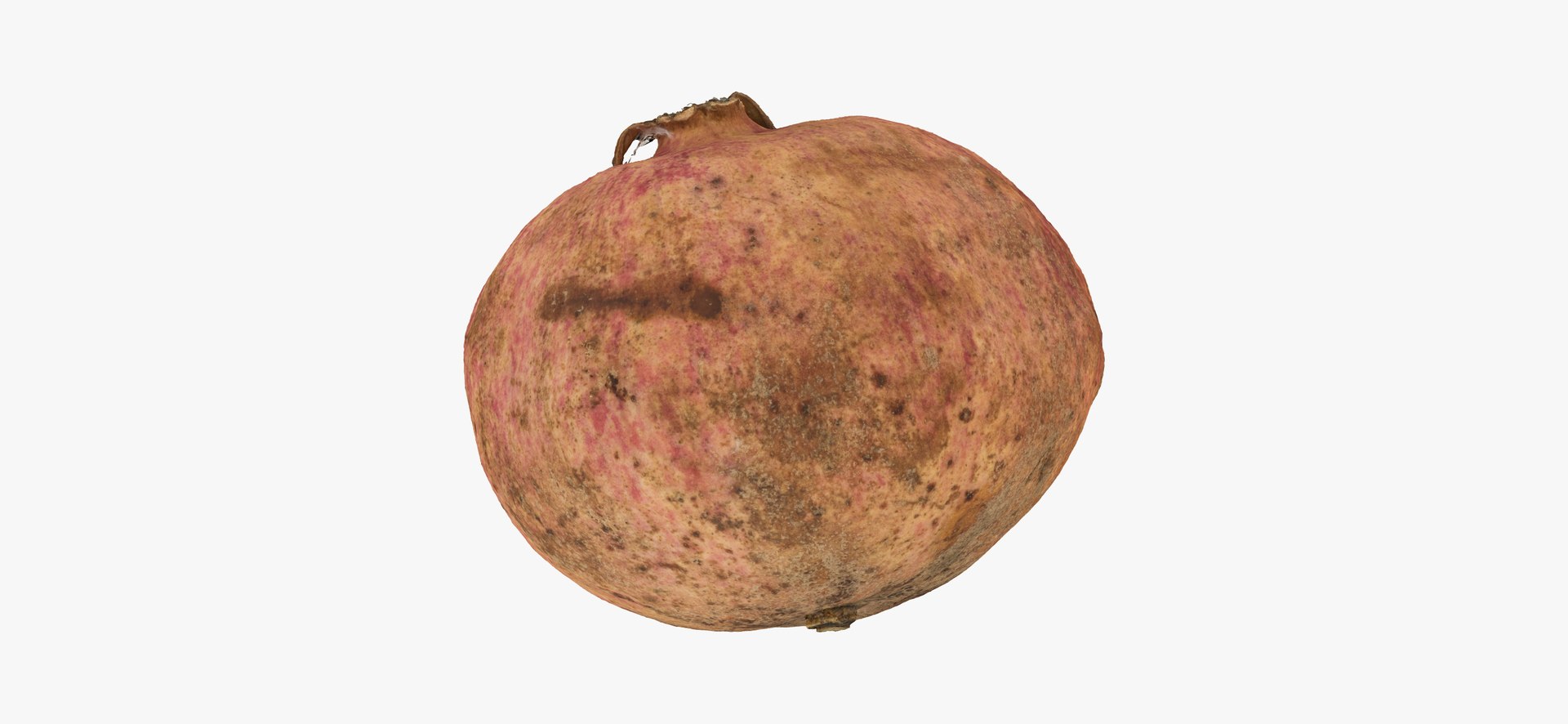 Pomegranate 03 Raw Scan 3D Model - TurboSquid 1664649