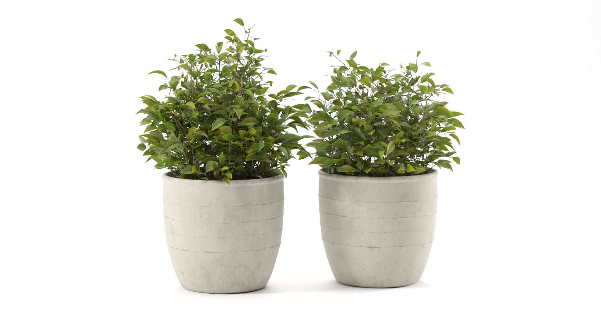 3D Realistic Outdoor Plant Pot - TurboSquid 1330729